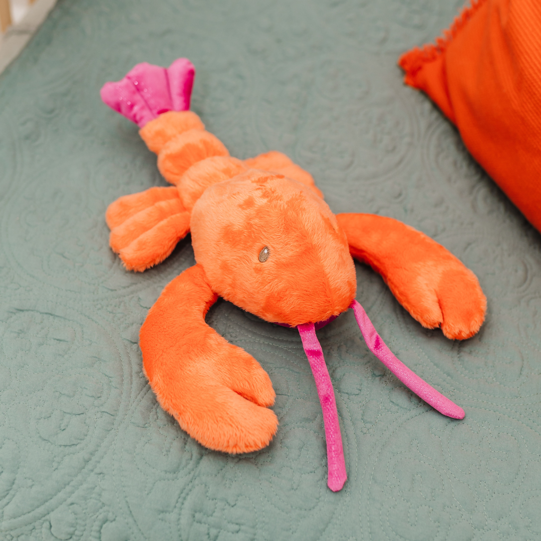Bubble Plush Toy - Libby the Lobster – Bloom Connect SG